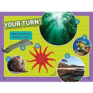In the Ocean (National Geographic Kids Readers, Level 1/Co-Reader)