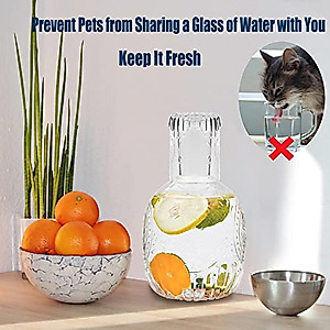 Bedside Water Carafe and Glass Set 33oz Vintage Nightstand Glass Carafe with Cup Mouthwash Water Decanter - Drink Water at Night and Keep Water Fresh (Clear)