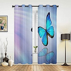 Big buy store Blackout Curtains Panels Blue Butterfly Thermal Insulated Grommet Window Curtains Insect Nature Room Darkening Curtain Drapes for Bedroom & Living Room 52inches W x 96inches L