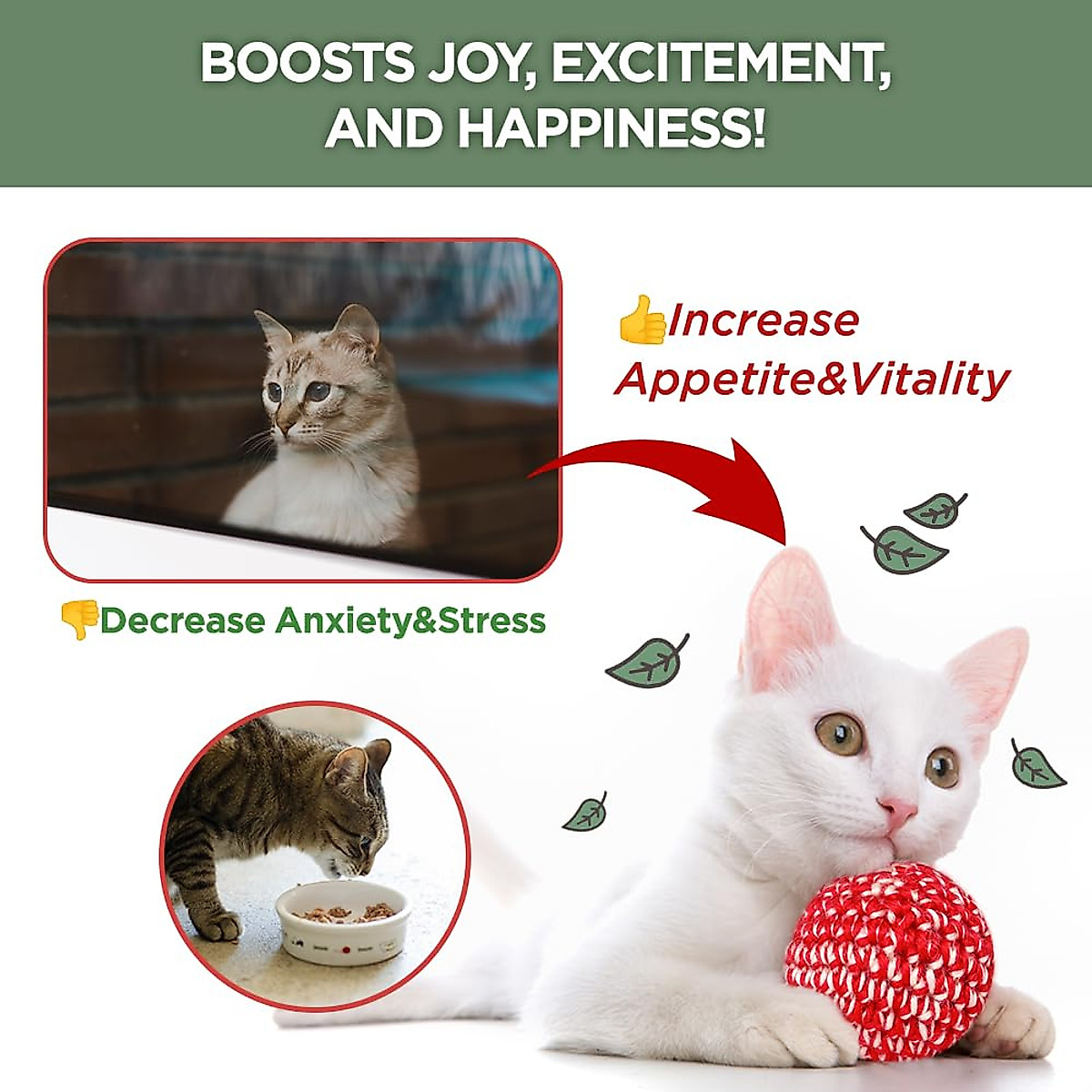 Active Catnip Spray - High Potency Transparent Liquid Spray made of Fresh Organic Catnip for Indoor Cats and Kittens, Relieves Stress, Calming, Revives Toys & Scratching Posts, Exercise (1fl oz)