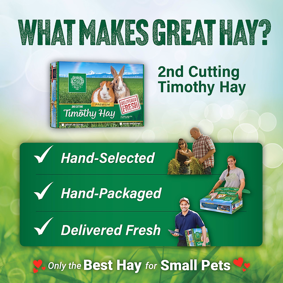 Small Pet Select 2nd Cutting Perfect Blend Timothy Hay Pet Food for Rabbits, Guinea Pigs, Chinchillas and Other Small Animals, Premium Natural Hay Grown in The US, 20 LB