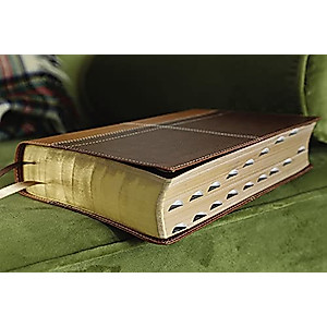 NIV, Life Application Study Bible, Third Edition, Leathersoft, Brown, Red Letter, Thumb Indexed