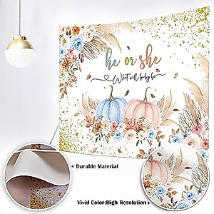 Mocsicka Pumpkin Gender Reveal Backdrop Autumn Fall Pumpkin Baby Shower Party Decorations Boy or Girl Thanksgiving Pumpkin Gender Reveal Party Cake Table Banner (Blue/Pink, 7x5ft(82''x60''))