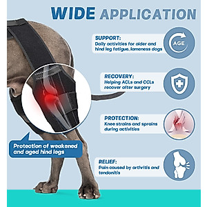 Petdream Dog Knee Brace with Vest, Support Dog Acl Brace for Hind Leg Torn, Adjustable Dog Rear Leg Braces for Cruciate Ligament Injury, Joint Pain Relief and Arthritis (Double, 3)