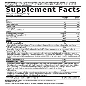 Garden of Life Whole Perfect Green Superfood Vegetable Dietary Powder Supplement, 600 g