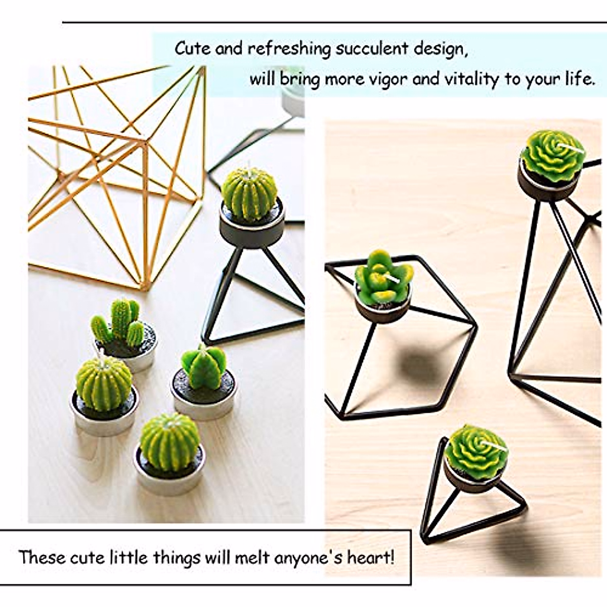 Swpeet 12Pcs Decorative Succulent Cactus Tealight Candles Kit, Cute Smokeless Succulent Plants Perfect for Candles Festival Wedding Props and House-Warming Party