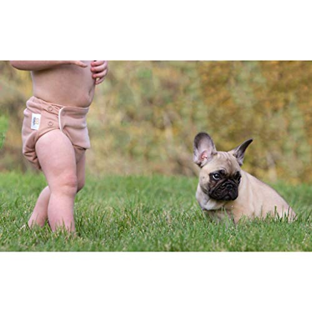 GroVia Buttah O.N.E. Reusable Baby Cloth Diaper (Glacier)