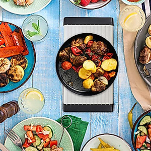 Hemoton Lunch Warmer Portable Food Hot Plate- Stainless Steel Warming Tray Dish Warmer Keep Food Warm for Buffet Serving, Restaurant, Parties, Table or Countertop Use Warming Tray