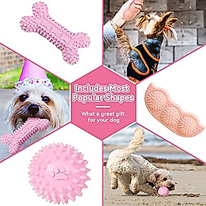 Petcare 6 Pack Puppy Toys for Teething Small Dogs Cute Pink Pet Dog Chew Toys for Puppies Soft Rubber Funny Bone Ball Donut Indoor Outdoor Anxiety Relief Cleaning Teeth Interactive Doggy Toy Set