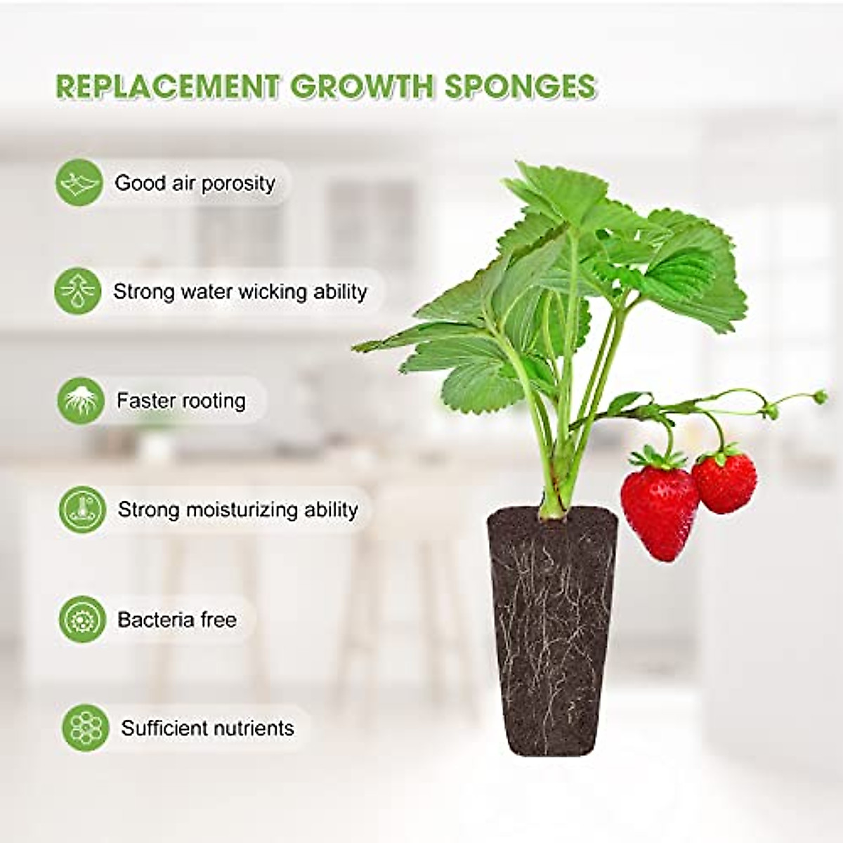 60 Pack Replacement Grow Sponges, Seed Pod Kit Seed Starter Pods Hydroponics Sponges Grow Sponges for Hydroponics Root Growth Sponges Refill Pods for Hydroponic Growing System Indoor Garden, Square