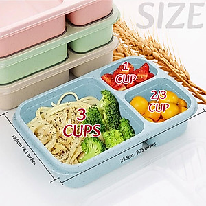 TOTDTDA 12 Pack Bento Box, 3 Compartment Lunch Box Containers, Wheat Straw Reusable Food Storage Containers, Freezer Microwave and Dishwasher Safe Snack Containers for Work School and Travel