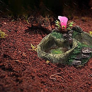 Resin Reptile Platform Artificial Tree Trunk Reptile Food Dish Food Water Bowl Lizard Crawling Platform for Lizard Turtle Gecko Water Frog Snake Amphibian Other Reptile