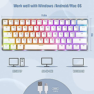 MIHIYIRY US Layout 60% Hot Swappable Mechanical Keyboard, RGB Backlit 61 Anti-ghosting Keys USB Wired Computer Keyboard Quick-Response Ergonomic Keyboard Suitable for Office and Games(Red Switch)