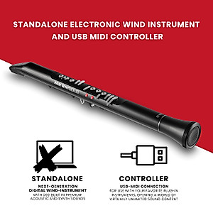 AKAI Professional EWI Solo - Electronic Wind Instrument With Built-in Speaker, Rechargeable Battery, 200 Sounds and USB MIDI Connectivity,Black