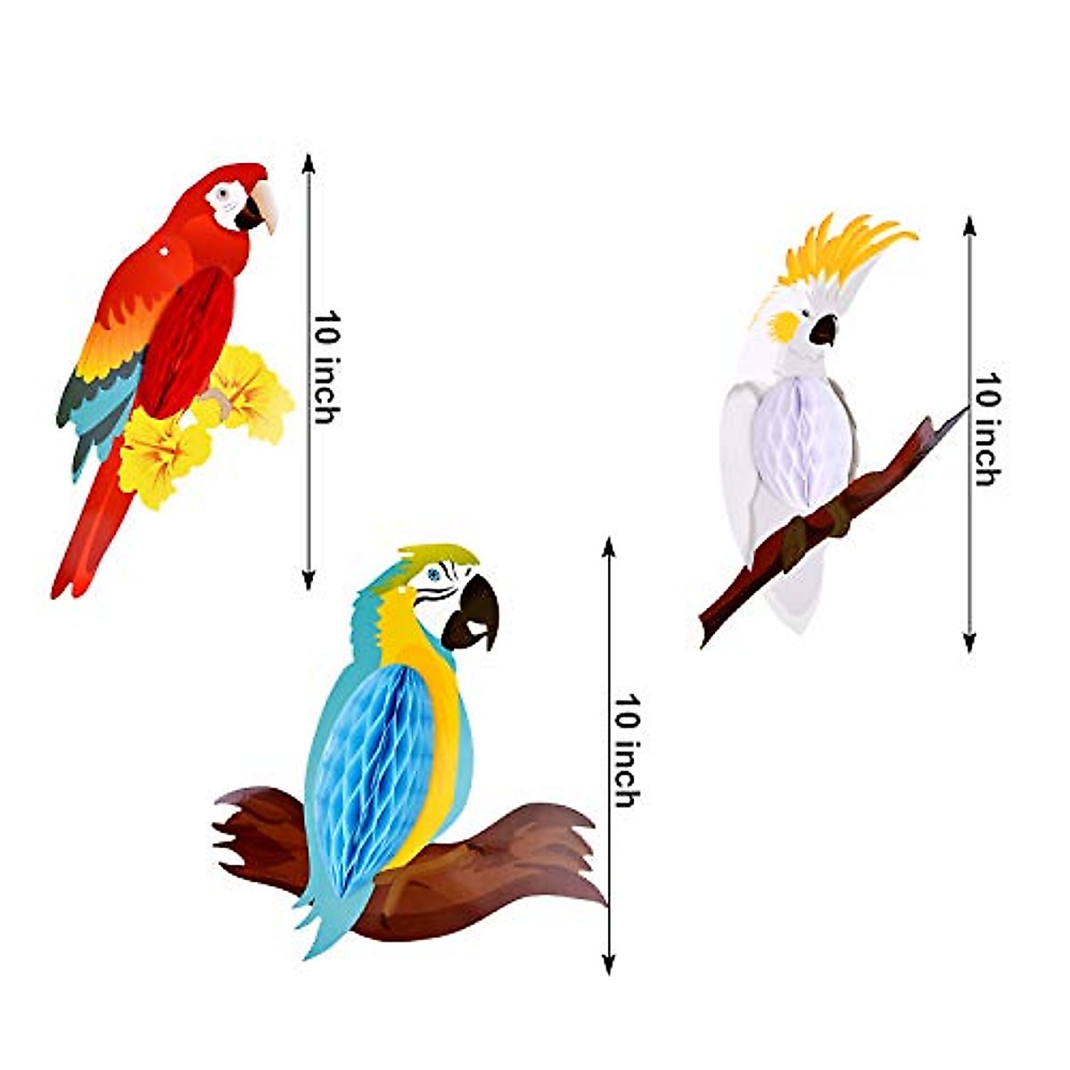 TUPARKA 6 Pieces Tropical Birds Honeycomb Parrot Hawaiian Summer Beach Tiki Bar Luau Party Home Classroom Hanging Decorations(Parrot)
