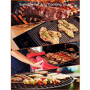 Govee Meat Thermometer 2.5mm Probe Replacement 2-Pack for Model H5055