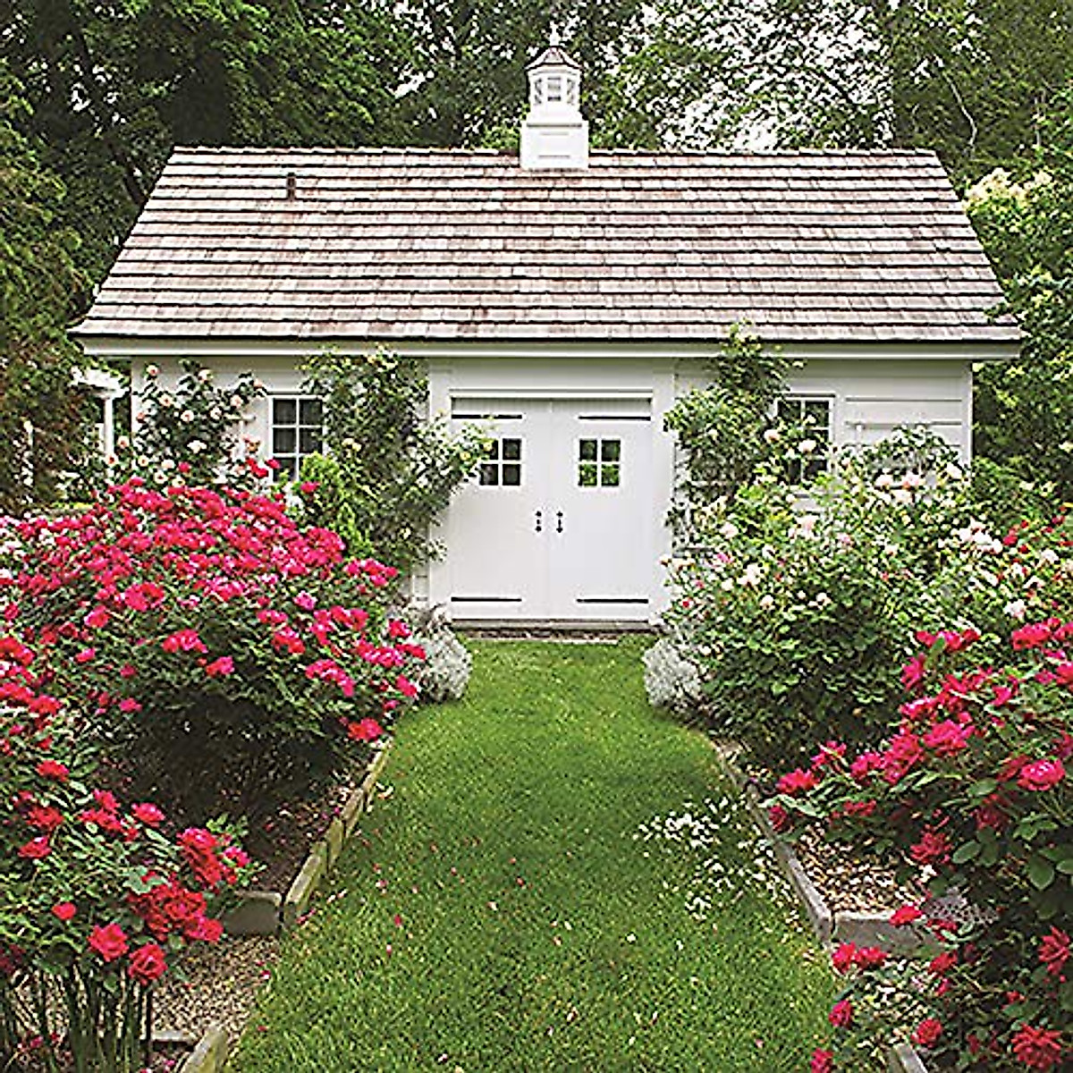 Root 98 Warehouse Knockout Double Red Rose, 1g