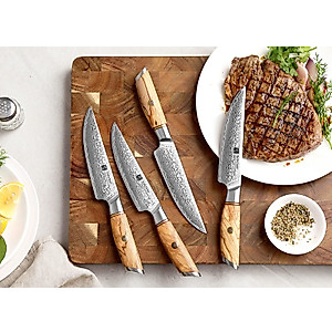 XINZUO Steak Knife Set of 4, Damascus Powder Steel Kitchen Steak Knife Set, Non Serrated Steak Knives, Razor-Sharp Dinner knives with Gift Box, Kitchen Table Knife with Olive Wood Handle-Lan Series