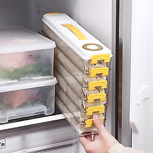 Dumpling Box Refrigerator Organizer Stackable Storage with Lids and Handle, Portable Multi Layer Quick Frozen Food Storage Container for Kitchen Fridge(4 Layer)