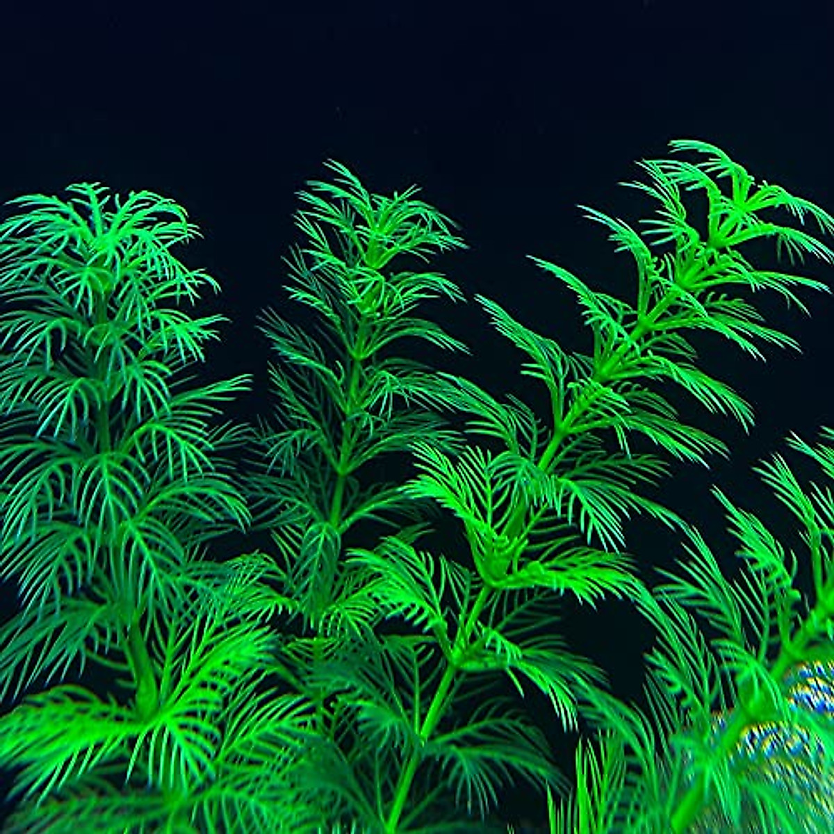 TANOMA Artificial Aquarium Plants Plastic, Fake Plants for Aquarium Fish Tank, Realistic Plant 10PCS