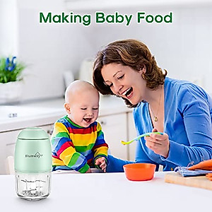 300ML Electric Mini Food Processor, 60W Cordless Food Press Garlic Chopper, Mini Blender For Garlic,Vegetable,Fruit,Onions,Chili,Meat,Salad,Baby Food, Glass Container (Green)