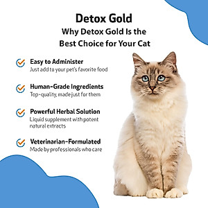 Pet Wellbeing Detox Gold for Cats - Vet-Formulated - Gentle Detoxification & Elimination Support - Natural Herbal Supplement 2 oz (59 ml)
