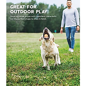 Outward Hound Tennis Ballz Fetch Dog Toy, 4-Pack