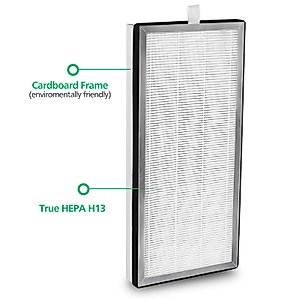 40 Replacement Filter H13 HEPA 40 Filter - Compatible with 40 3-in-1 Filters Contains High-Efficiency Activated Carbon Filter, 2 Pack 40 Filter