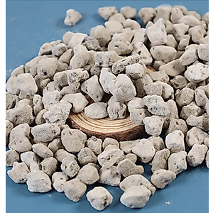 Horticultural Pumice for Plants by Doter 1 QT, Soil Amendment for Bonsai and Cactus Plants