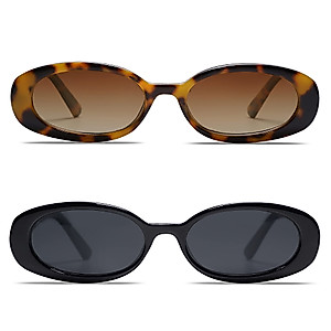 VANLINKER Polarized Retro Oval Sunglasses for Women and Men Small 90s Style VL9580