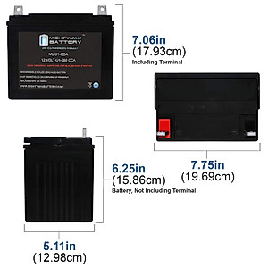 Mighty Max Battery ml-u1-cca - 12v 200 cca - SLA Starting Battery for Lawn, Tractors and mowers Brand Product (3351559)