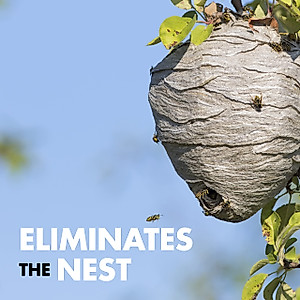 Spectracide Wasp & Hornet Killer, Kills Wasps & Hornets, 2 Count, 20 Ounce (Aerosol Spray)