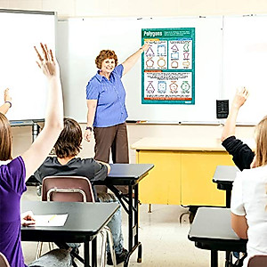 Daydream Education Polygons Math Poster - Laminated - Large Format 33” x 23.5” - Classroom Decoration - Bulletin Banner Charts