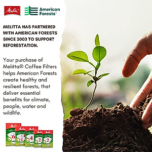 Melitta 4 Cone Coffee Filters, Bamboo, 80 Count (Pack of 6) 480 Total Filters Count - Packaging May Vary