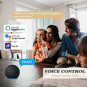 SMAAIR 52 Inch Smart Ceiling Fan with Lights and 10-speed DC Motor, Works with Remote Control/Alexa/Google Home/Siri, Dimmable LED Light (Gold/Black)