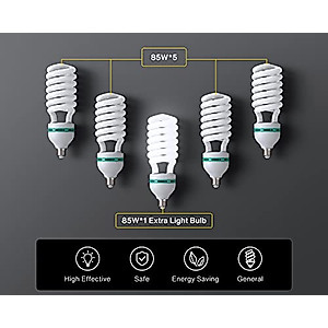 RALENO Photography Lighting Kit, 8.5 x 10ft Backdrop Stand with Green Screen, 5 x 85W CFL 5500K Light Bulb with Umbrellas for Product, Portrait and Video Shoot Photography