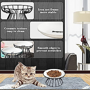 Wellbro Cat Bowls, Elevated Cat Bowl, Raised Ceramic Cat Dish with Metal Stand, Pet Water or Food Feeding Station for Indoor Cats, Kitten, Puppies and Small Dogs, Dishwasher Safe
