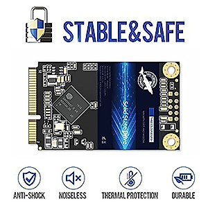 Dogfish mSATA SSD 250GB 3D NAND TLC SATA III 6 Gb/s, mSATA (30x50.9mm) Internal Solid State Drive - Compatible with Desktop PC Laptop - (MSATA 250GB)