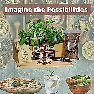 Indoor / Outdoor Herb Garden Kit - Classic Wood Planter Box with Herb Seeds, Plant Stakes and Expanding Wondersoil - 16" Long x 6" Wide x 6" Tall (will fit in windowsill up to 6" deep) (Cedar Wood)