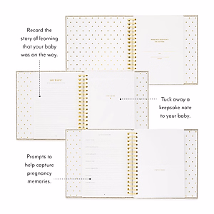 Sugar Paper Baby Keepsake Book - Memory Book from Pregnancy to First Year - Milestone Journal with Pocket Storage - Baby Shower Idea - Gender Neutral Gift - Cloth Hardcover - Mist Green