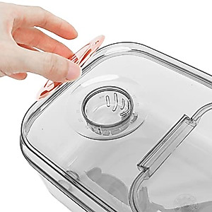 Rice Container, Transparent Rice Grain Storage Container Proof Food Bucket Container with Flip Lid Measuring Cup (5KG Transparent White) (Color : 10kg Transparent White)