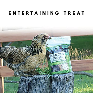 Manna Pro Chicken Scratch | Garden Grains, Treat for Coop, Duck Food, Chicken Supplies |2.25 Pound (Pack of 1)