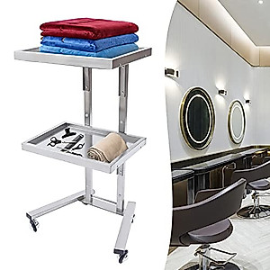 DNYSYSJ Beauty Salon Stand Rolling Cart, 2 Tier Spa Beauty Machine Holder Trolley, Salon Storage Trolley Stand, for Salons Studios Shops Medical Shops and Dentists