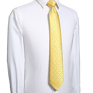 KissTies Ties for Men Gold Yellow Dots Necktie