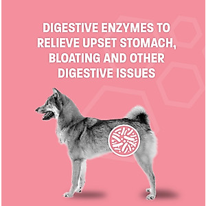 Pet Health Pros Probiotic Oral Paste for Dogs & Cats - Support Healthy Digestion Probiotic Gel - Anti Diarrhea for Dogs and Cat Probiotics for Diarrhea - for Traveling, Kenneling and Training - 30 cc