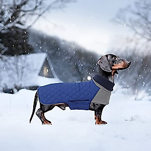 Geyecete Dachshund Coat,Dachshund Winter Coat,Warm Dachshund Coat Waterproof Windproof, High Neckine String Holes Miniature Dachshund Jacket for Small Dog-Bule-M