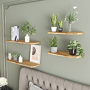 WELLAND 16” Cedar Natural Edge Floating Shelf Set of 2