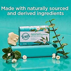 Tom's of Maine Natural Beauty Bar Soap With Raw Shea Butter, Fresh Eucalyptus, 5 oz. 6-Pack (Packaging May Vary)