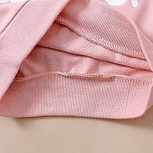 Willow Dance Valentine's Day-Toddler Baby Boy Girls Clothes Letter Printed Long Sleeve Pullover Sweatshirt Shirt Sweater Tops pink 12-18 Months