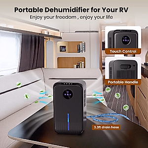 Dehumidifier, 88 OZ Dehumidifier for Home, Quiet Small Dehumidifier with Drain Hose, Dehumidifier for Bedroom Bathroom Home Room, (800 Sq.ft) Auto Shut Off, Timing Setting, 7 Colors LED Light